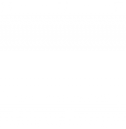 Deutsche Forschungsgemeinschaft (DFG) – Walter Benjamin Programme | UNE ...